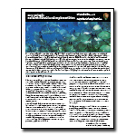 Fact Sheets - Dry Tortugas National Park (U.S. National Park Service)