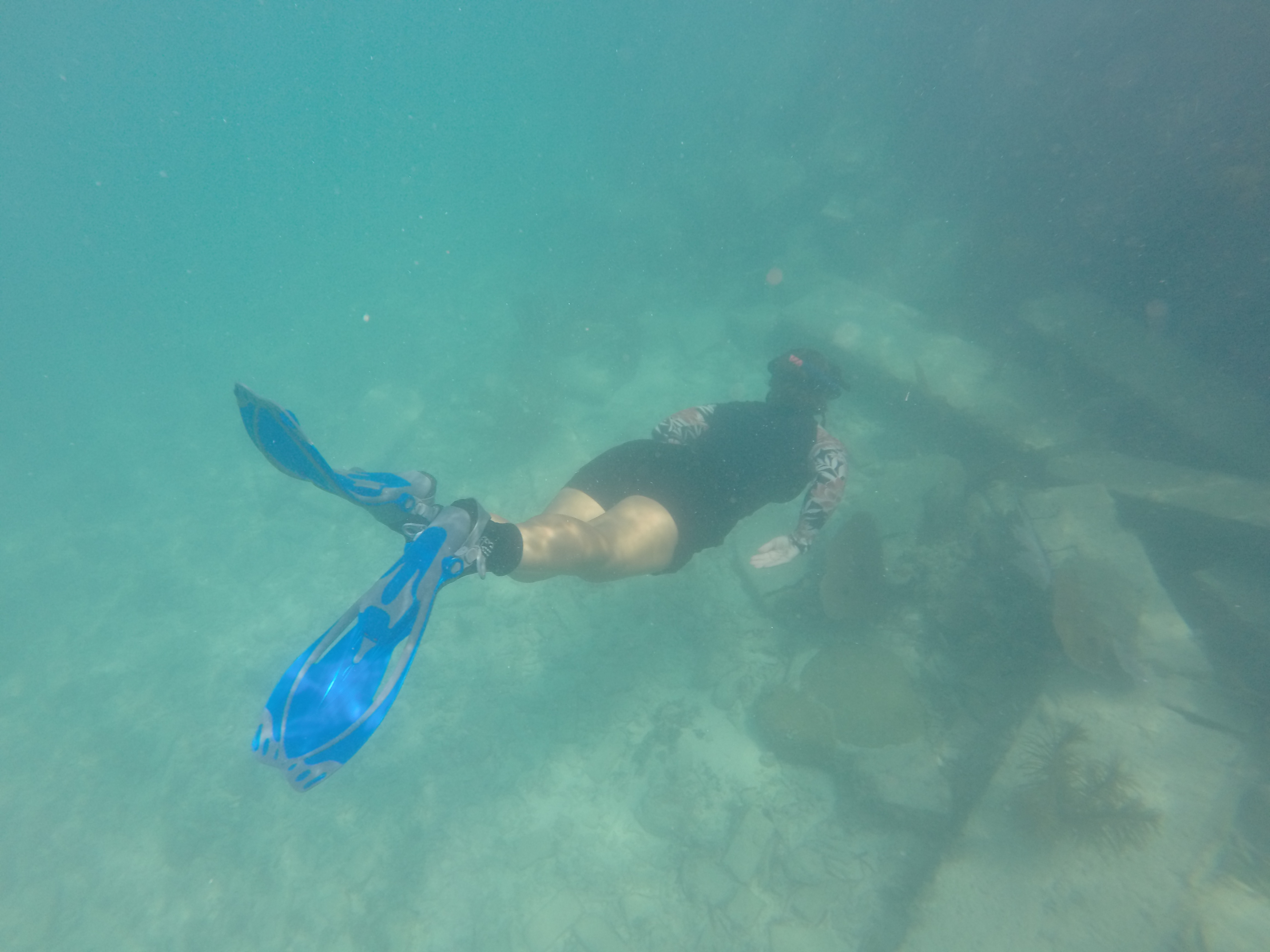 Swimming, Snorkeling, and Diving - Dry Tortugas National Park (U.S ...