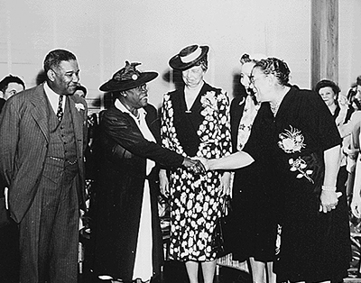 It's Up to the Women: Eleanor Roosevelt, Women’s Politics, and Human ...