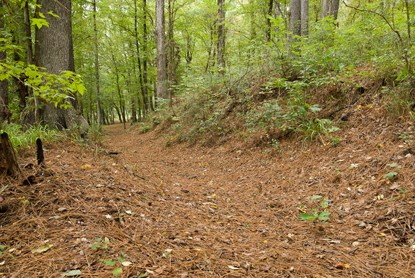 Follow the Signs - El Camino Real de los Tejas National Historic Trail ...