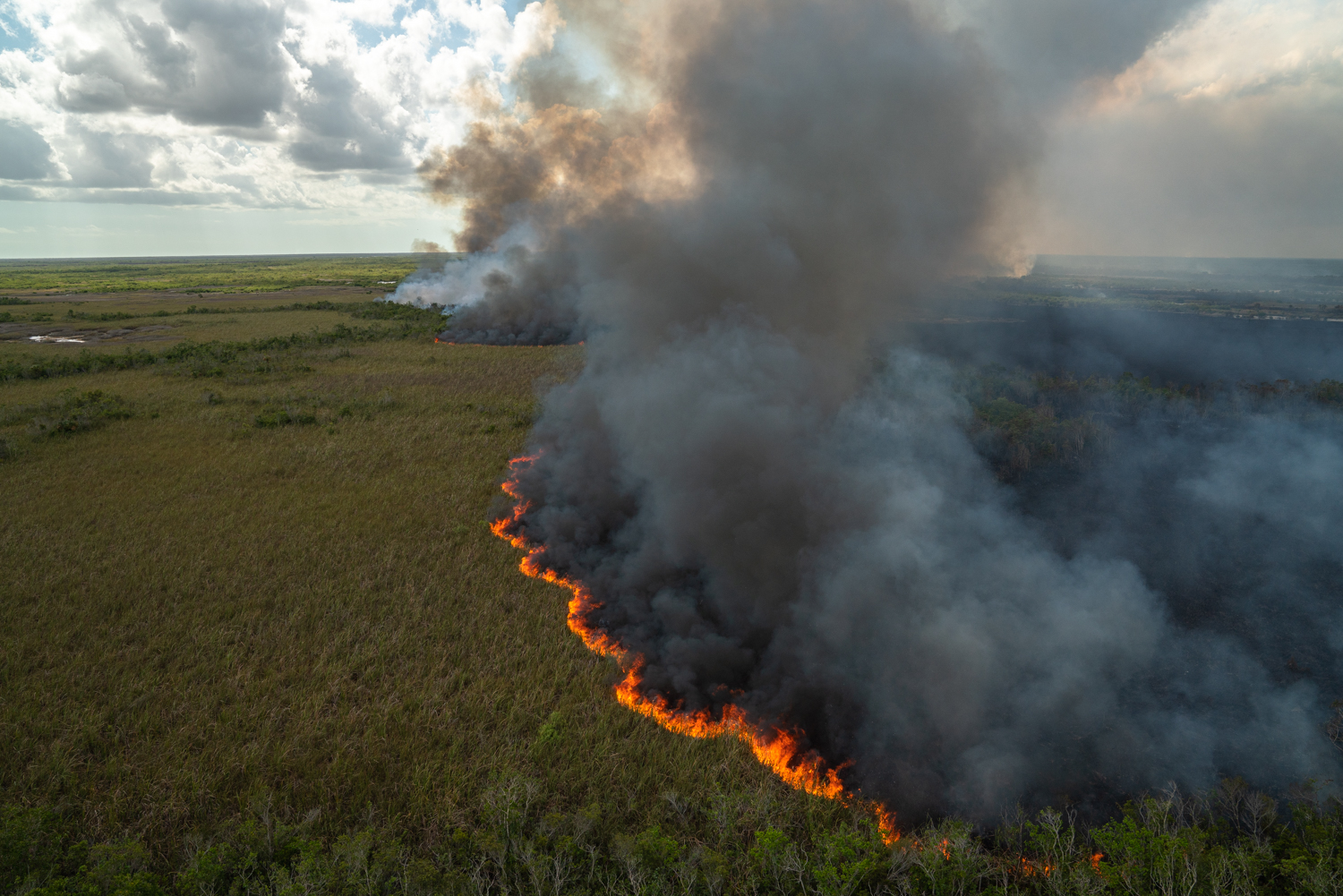 Marjory Stoneman Douglas Wilderness - Everglades National Park (U.S ...
