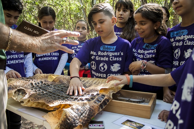 Ranger-Guided - Everglades National Park (U.S. National Park Service)
