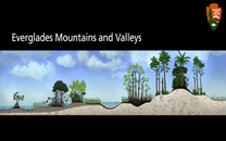 Curriculum Materials - Everglades National Park (U.S. National Park ...