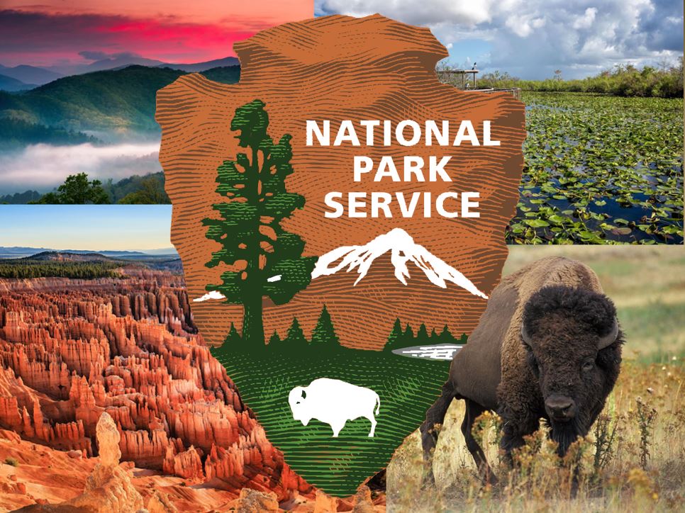 Curriculum Materials - Everglades National Park (U.S. National Park ...