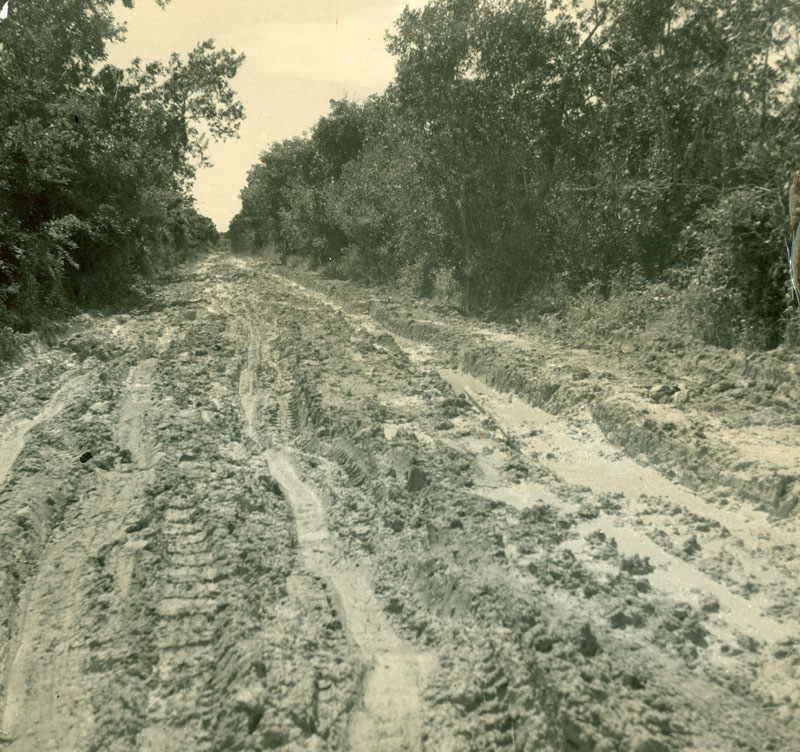 Places - Everglades National Park (U.S. National Park Service)