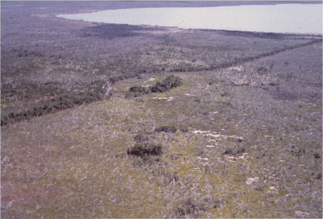 Everglades Archaeological Heritage - Everglades National Park (U.S ...