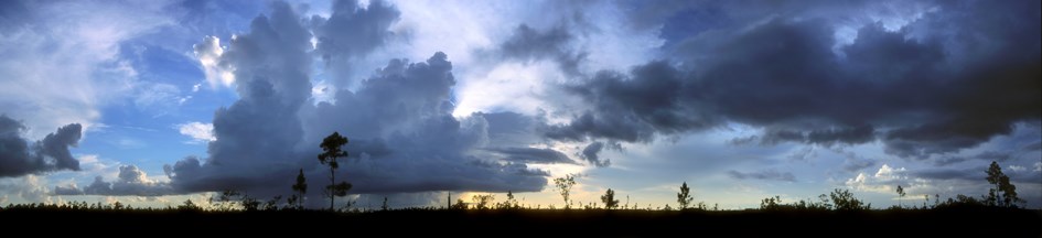 Water Water Everywhere - Everglades National Park (U.S. National Park ...