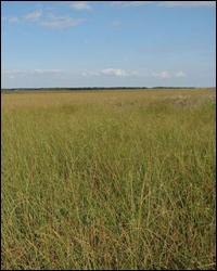 What's in a Name? - Everglades National Park (U.S. National Park Service)