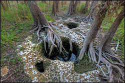 Geology - Everglades National Park (U.S. National Park Service)