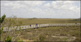 Geology - Everglades National Park (U.S. National Park Service)