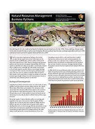 Burmese Pythons: Research - Everglades National Park (U.S. National ...