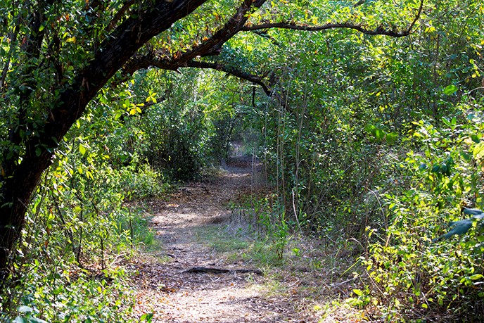 Coastal Prairie Trail - Everglades National Park (U.S. National Park ...