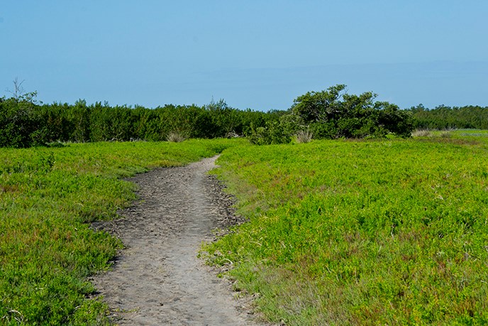 Coastal Prairie Trail - Everglades National Park (U.S. National Park ...