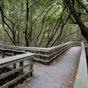 Shark Valley Trails - Everglades National Park (U.S. National Park Service)