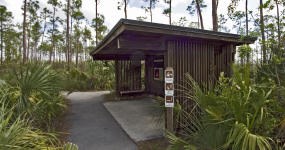 Pineland Trail - Everglades National Park (U.S. National Park Service)