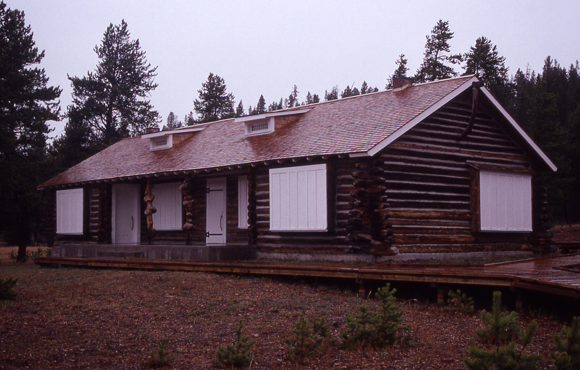 Yellowstone's Photo Collection