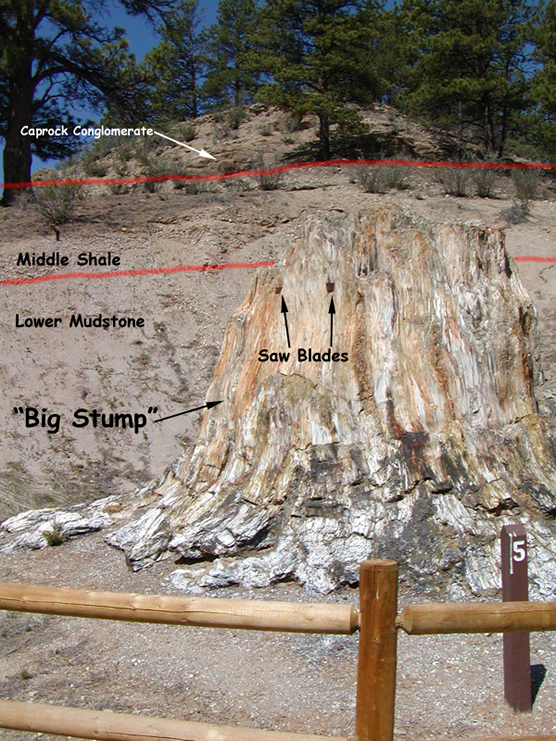Geology (Unit 2) - Caprock Conglomerate - Florissant Fossil Beds ...