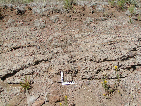 Geology (Unit 2) - Caprock Conglomerate - Florissant Fossil Beds ...