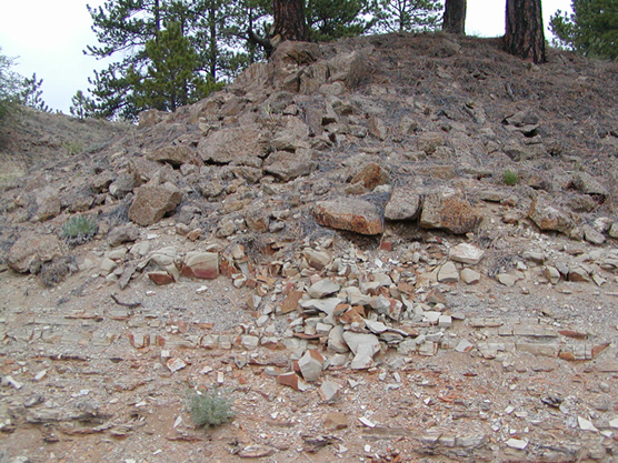 Geology (Unit 2) - Caprock Conglomerate - Florissant Fossil Beds ...