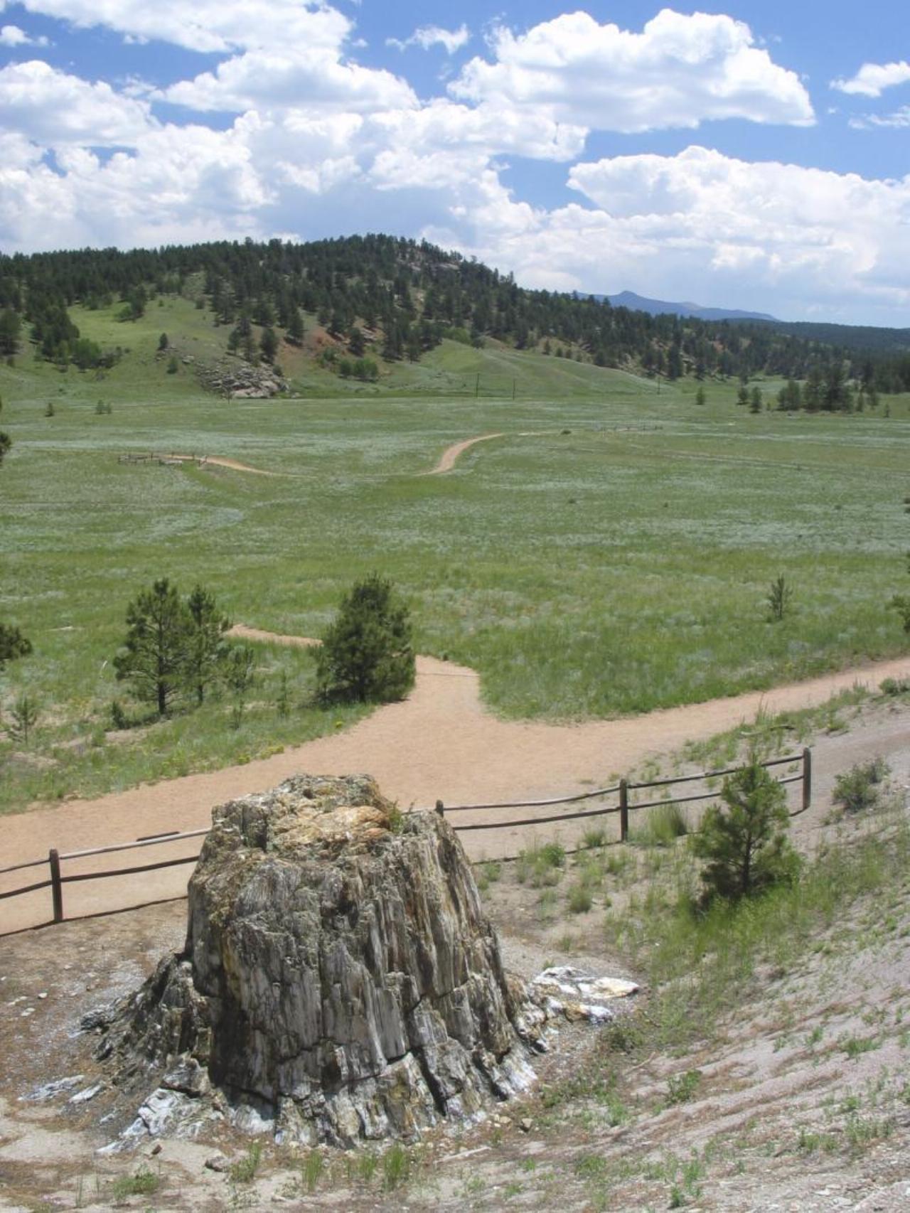 Natural Features & Ecosystems - Florissant Fossil Beds National ...