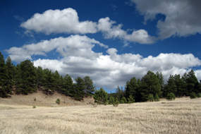Photos & Multimedia - Florissant Fossil Beds National Monument (U.S ...