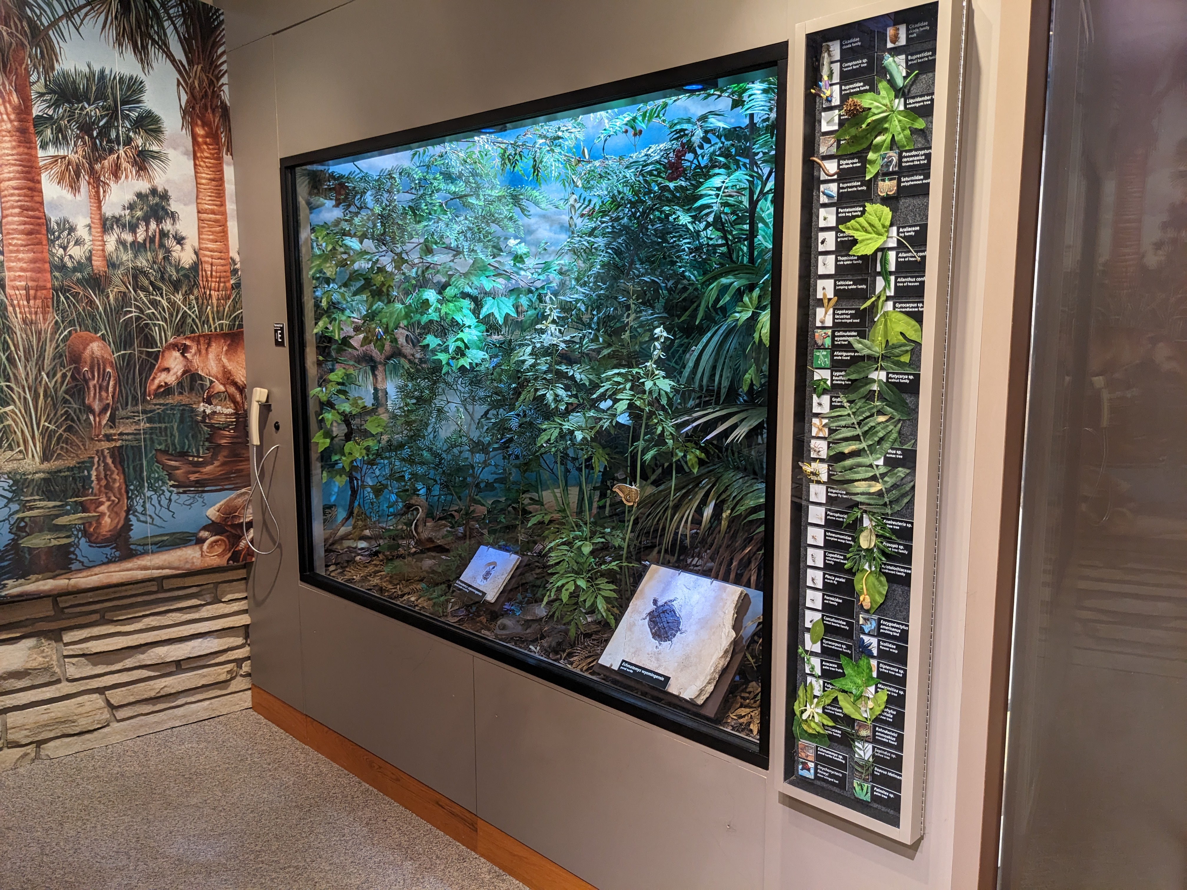 Visitor Center Exhibits - Fossil Butte National Monument (U.S. National ...