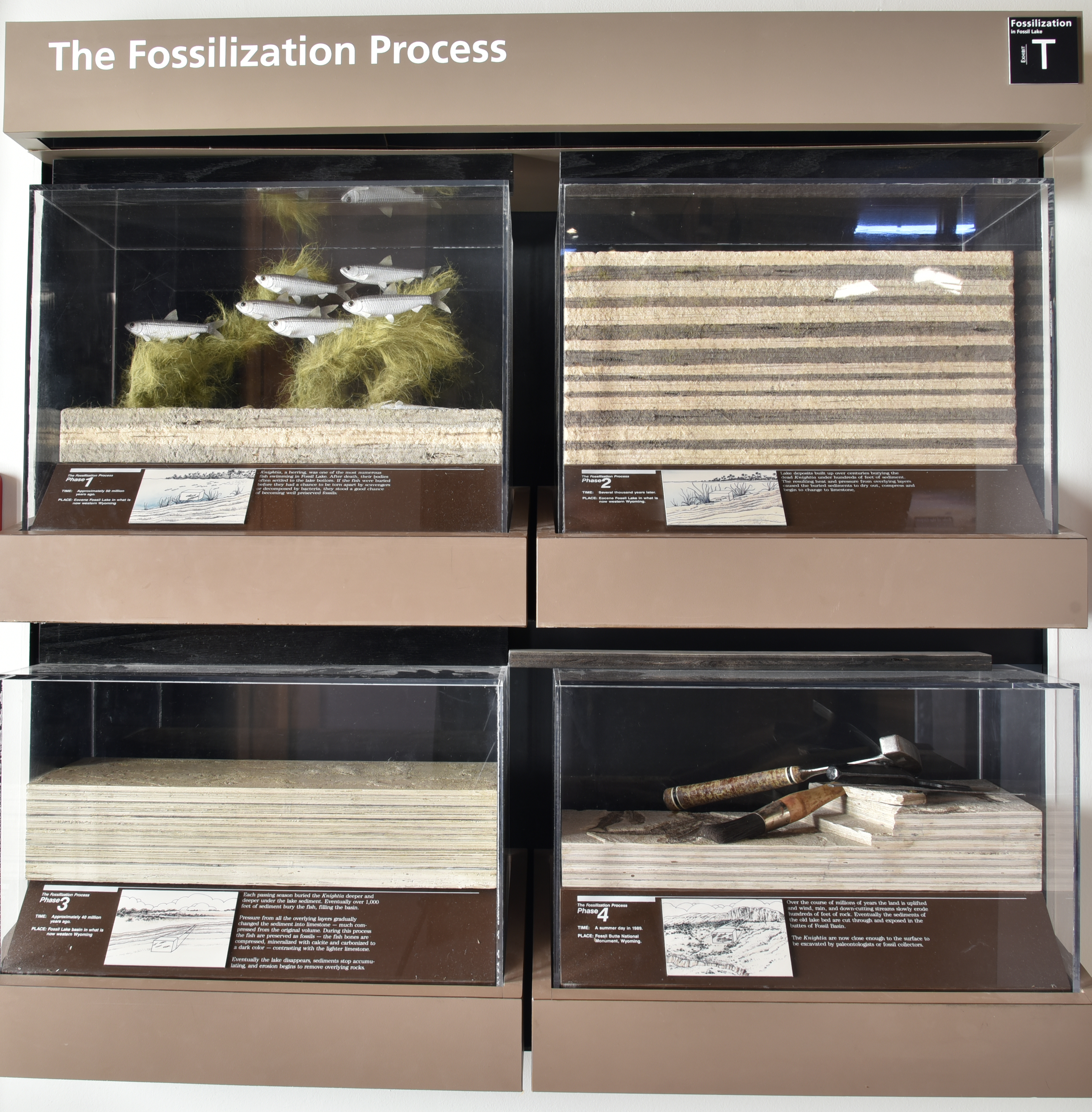 Visitor Center Exhibits - Fossil Butte National Monument (U.S. National ...
