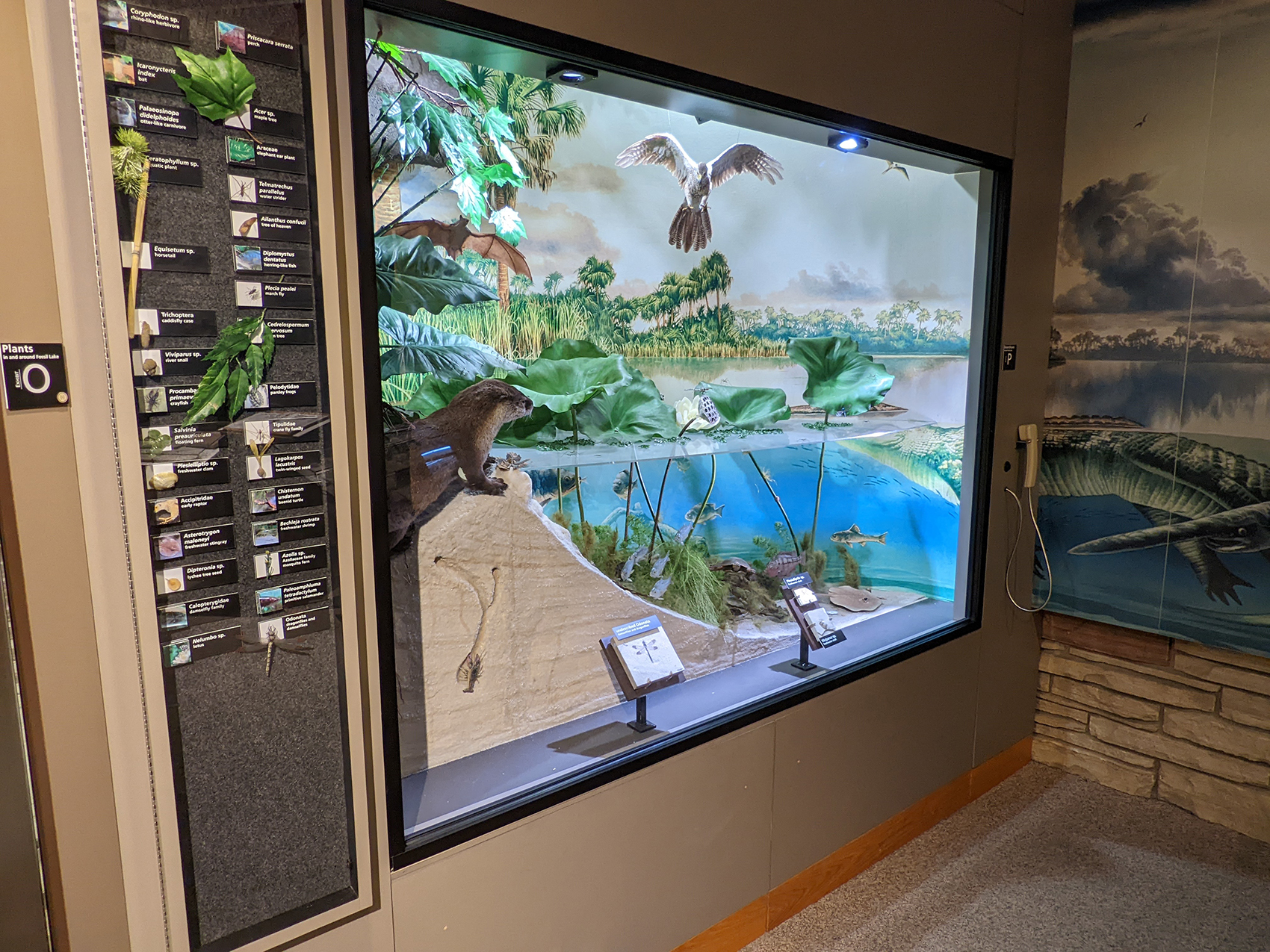 Visitor Center Exhibits - Fossil Butte National Monument (U.S. National ...