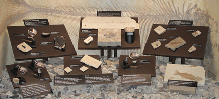 Visitor Center Exhibits - Fossil Butte National Monument (U.S. National ...