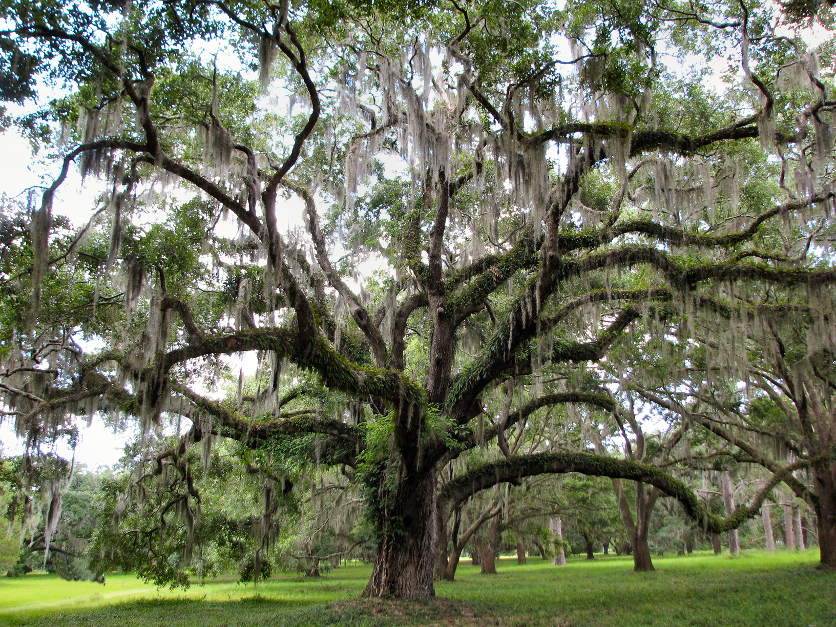 Event Details - Fort Frederica National Monument (U.S. National Park ...