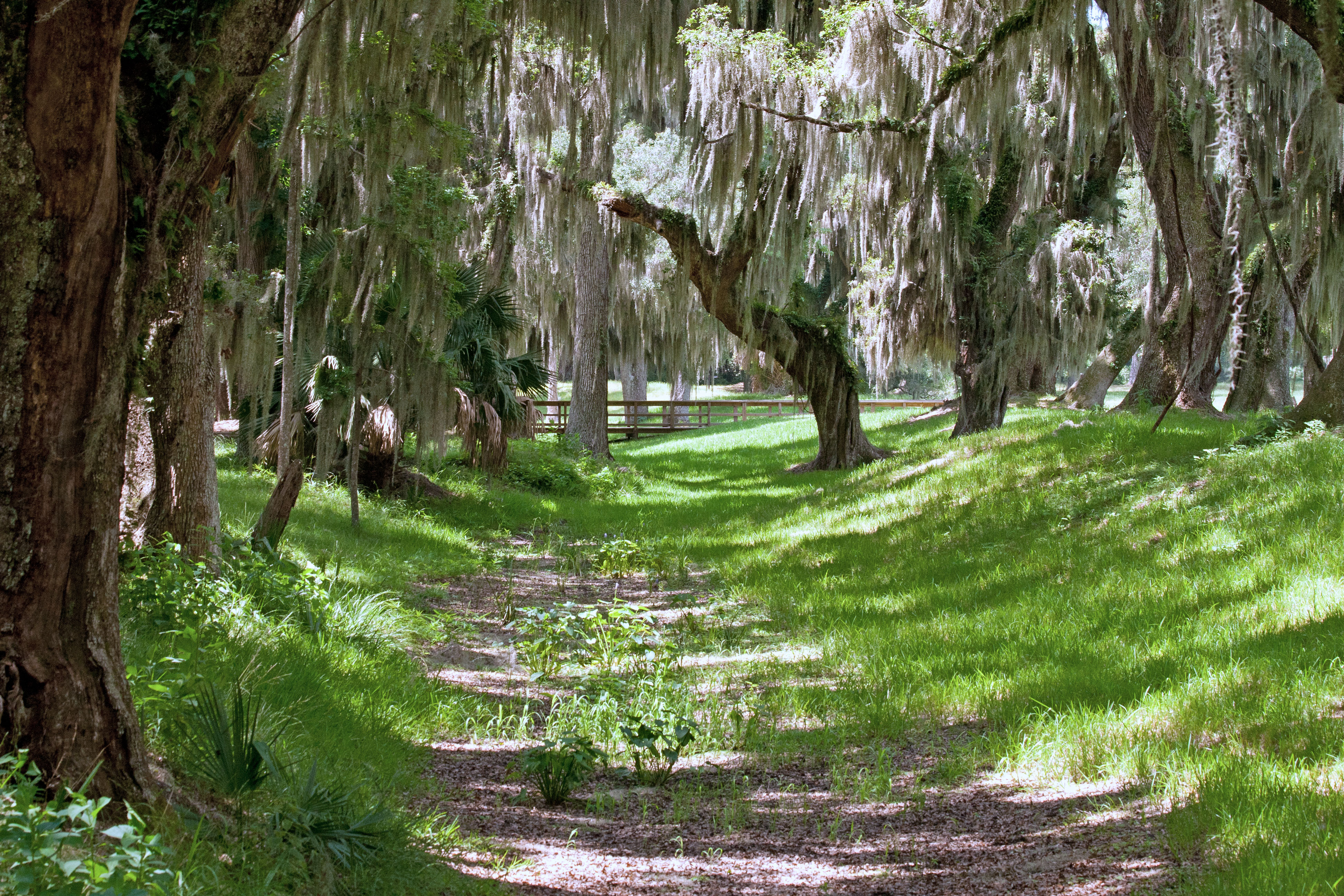 Brochures - Fort Frederica National Monument (U.S. National Park Service)