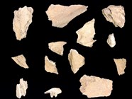 Animal Bones U S National Park Service Animal Bones U S National Park Service