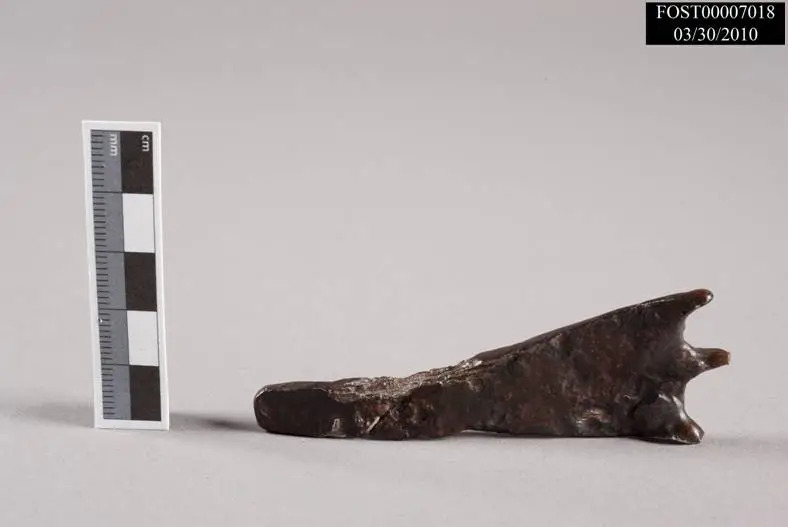 Bone Buttons & Manufacturing Tool (U.S. National Park Service)