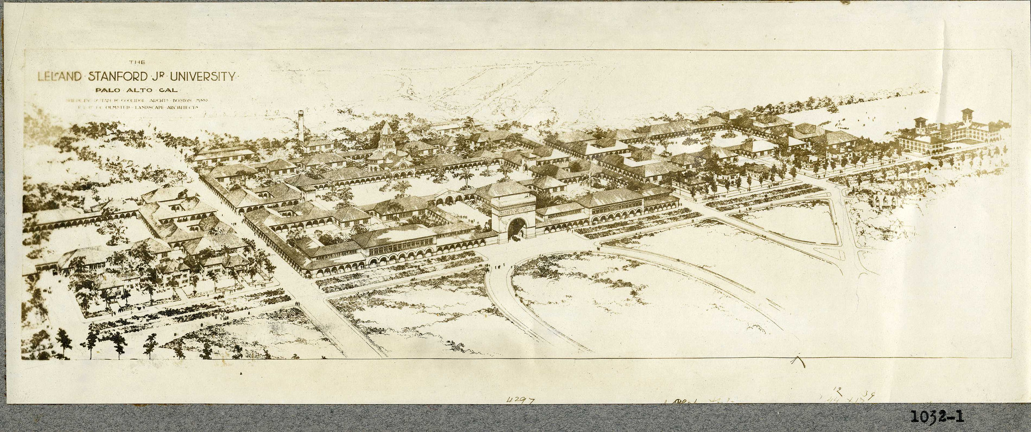 Designing for Young Citizens: The Olmsteds and Campus Planning ...