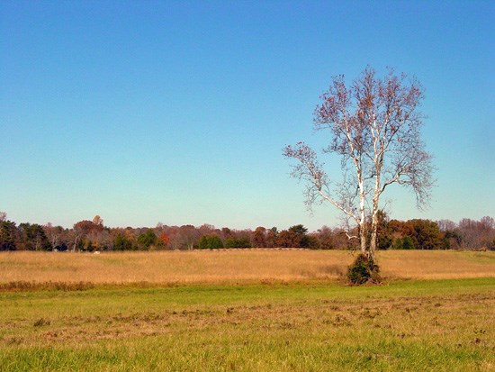 Virtual Tour Stop, Laurel Hill - Fredericksburg & Spotsylvania National ...