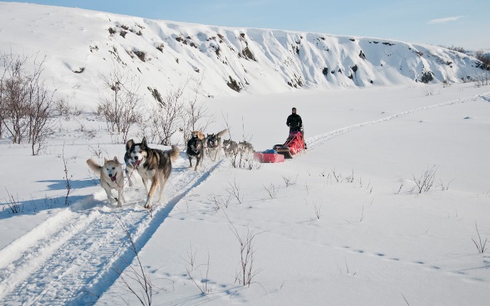 Of Dogs & Wilderness: Working Dogs - Gates Of The Arctic National Park ...