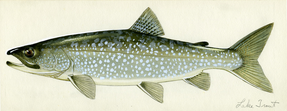 Fishing - Gates Of The Arctic National Park & Preserve (U.S. National ...