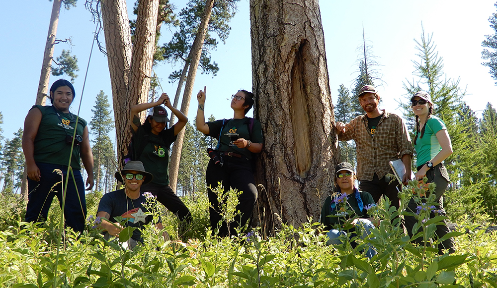 Culturally Modified Tree Study - Glacier National Park (U.S. National ...
