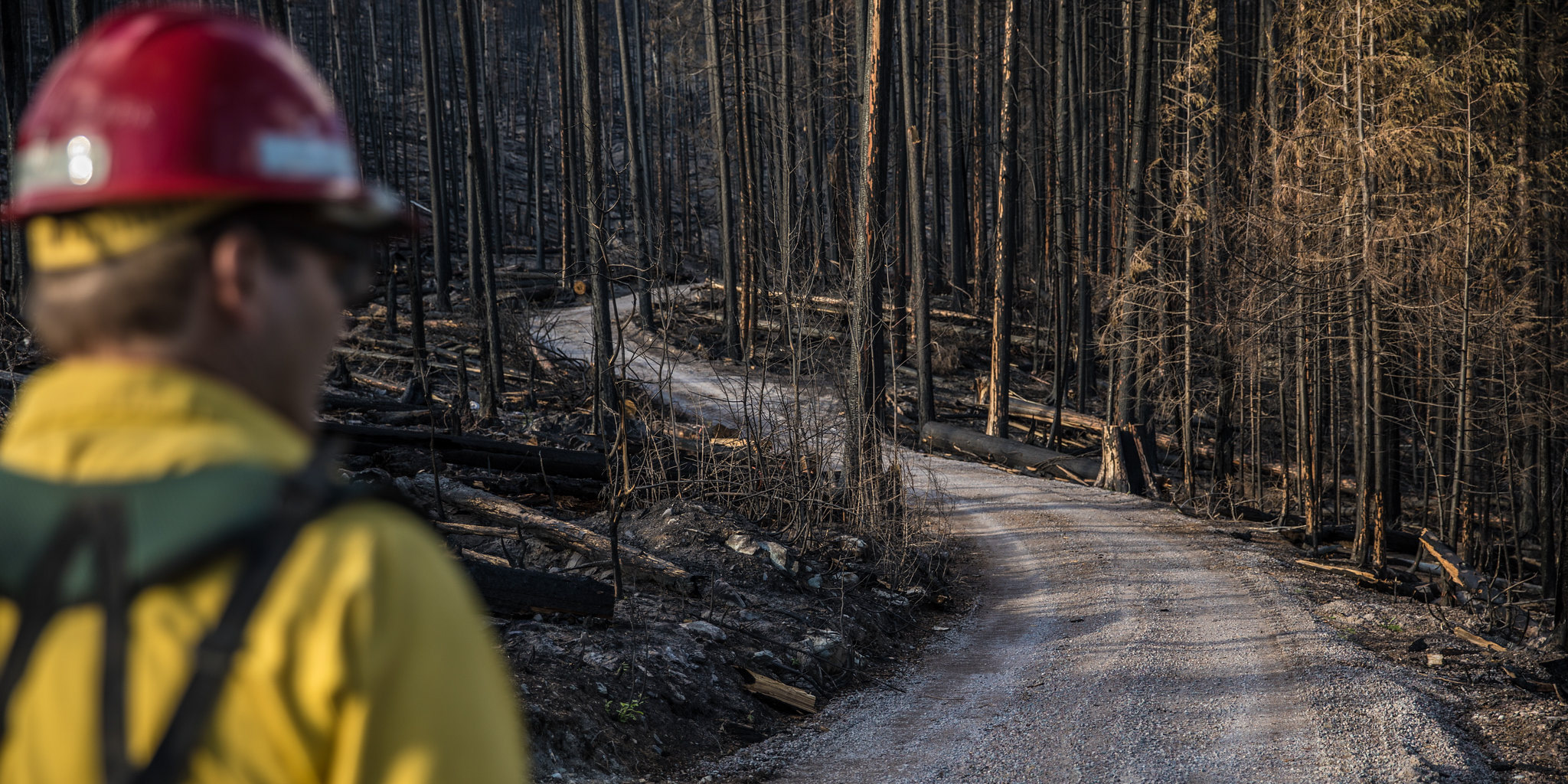 Fire Management - Glacier National Park (U.S. National Park Service)