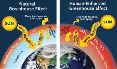 Climate Change - Glacier Bay National Park & Preserve (U.S. National ...