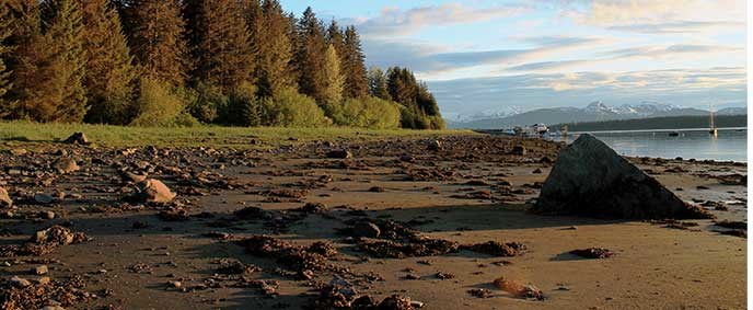 Intertidal and Subtidal Zones - Glacier Bay National Park & Preserve (U ...