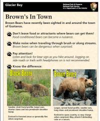 Bear Distribution Study - Glacier Bay National Park & Preserve (U.S ...