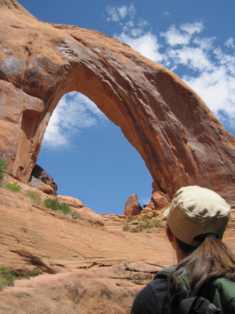 Wilderness - Glen Canyon National Recreation Area (U.S. National Park ...