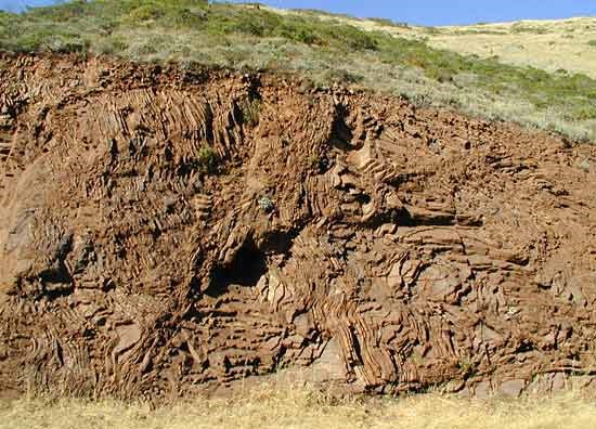 Chert FAQ - Golden Gate National Recreation Area (U.S. National Park ...