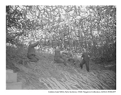 The Voices of Fort Barry - Golden Gate National Recreation Area (U.S ...