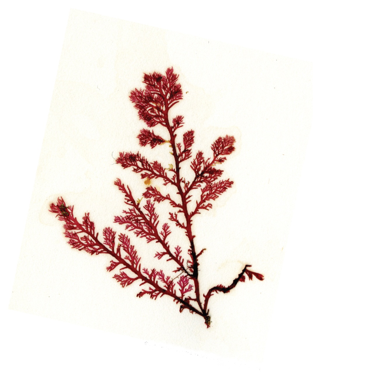 Parks for the People - San Mateo County - Golden Gate National ...