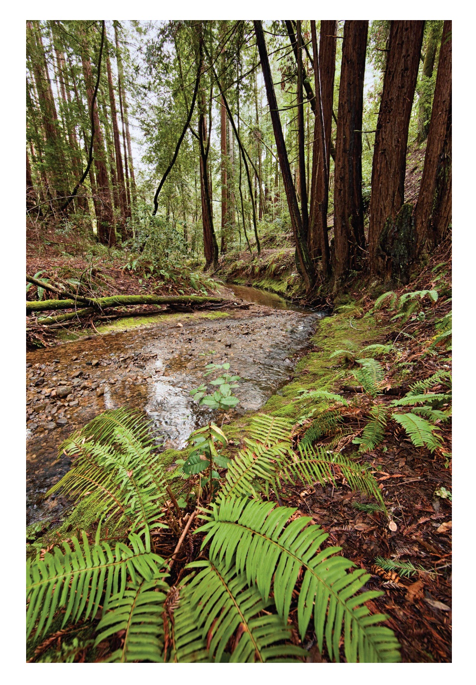 Parks for the People - San Mateo County - Golden Gate National ...