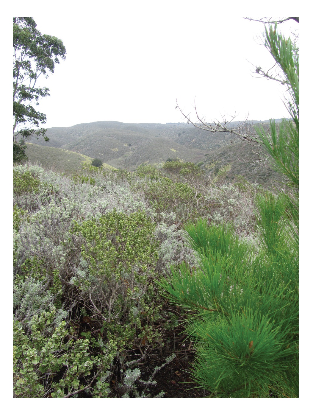 Parks for the People - San Mateo County - Golden Gate National ...