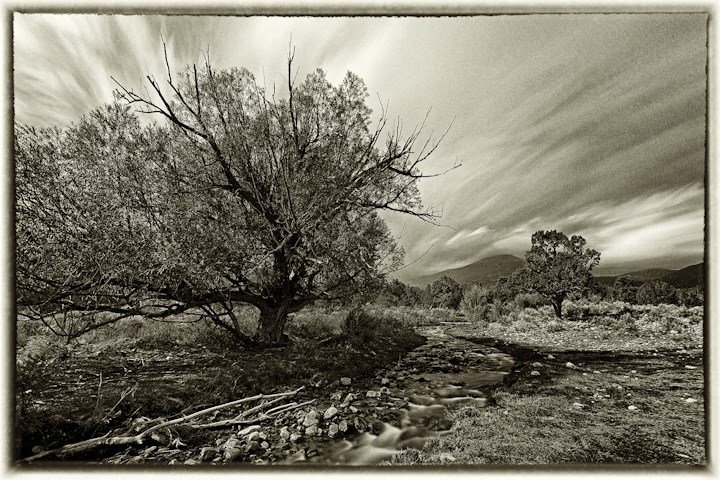 2012: Photographers Ken Koenig and Lisa Rose - Great Basin National ...