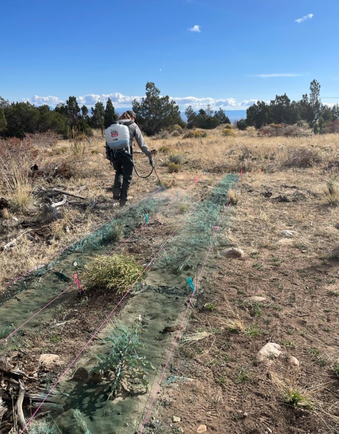 Restoring the Sagebrush Sea, One Carbon-coated Seed at a Time (U.S ...